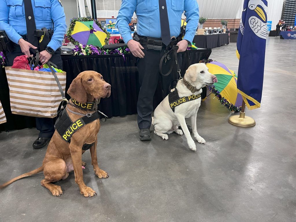 Why K9 Trauma Kits? – LLSSA